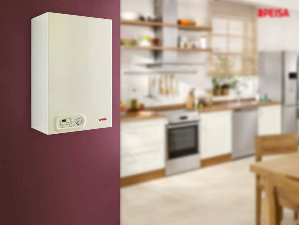 Calderas y Radiadores Peisa - Accesaniga